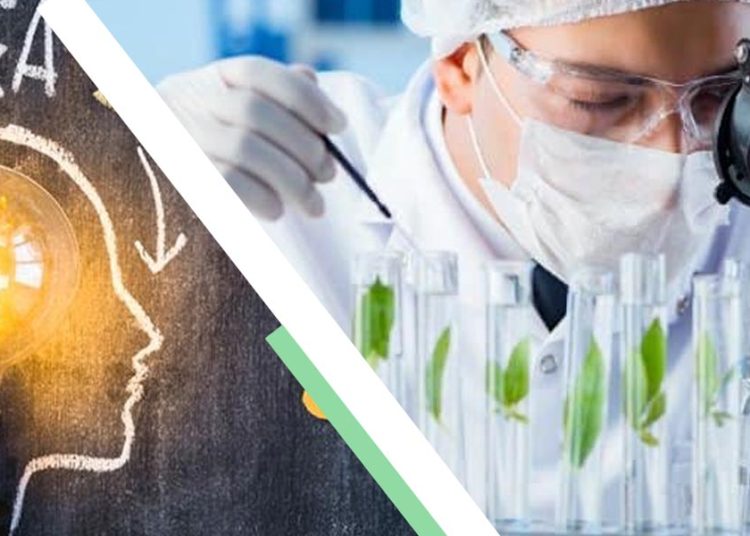 What is Biotechnology: Examples and Types - MYTECHMAG